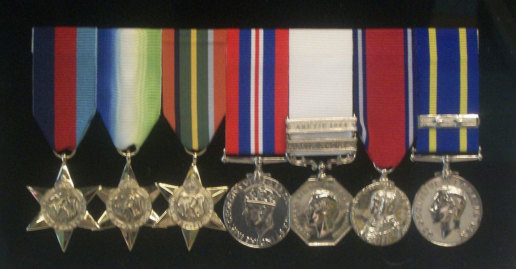 Multicultural Remembrance – Snowbird of Paradise