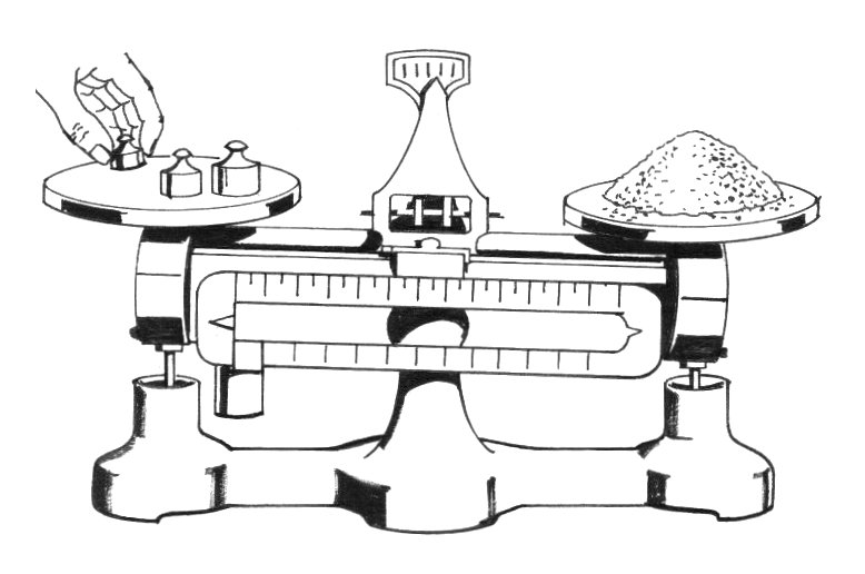 We are All Putting Thumbs on Scales – Snowbird of Paradise