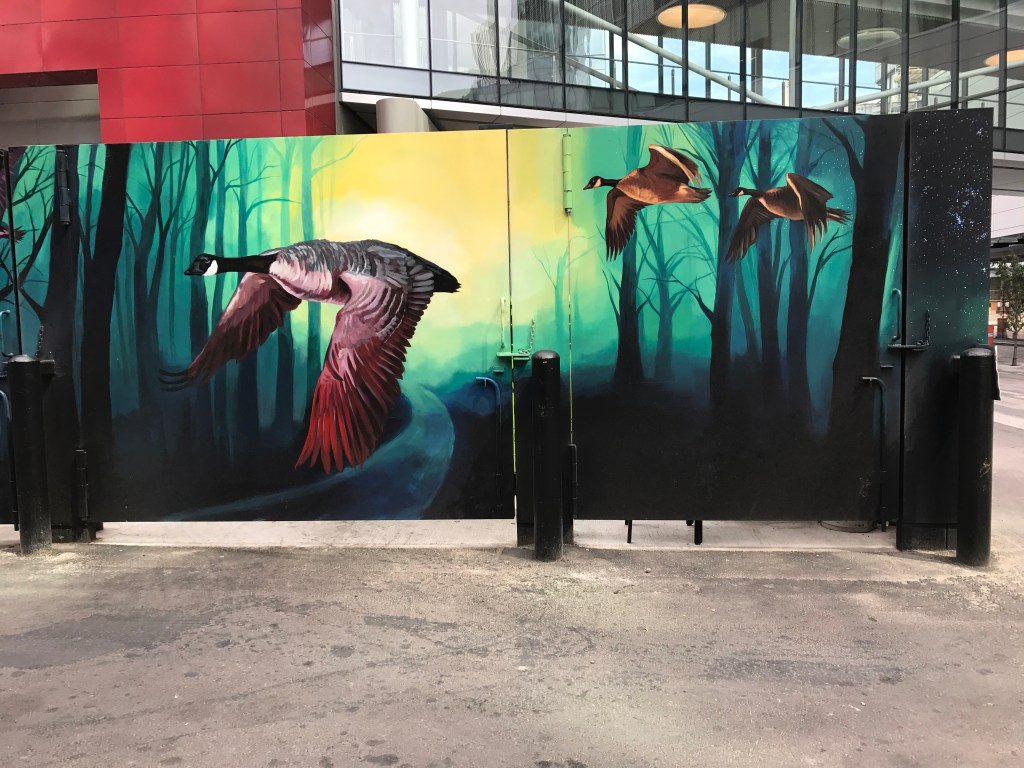 Beauty Behind the Bell Tower – Snowbird of Paradise