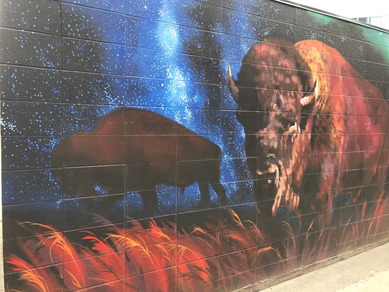 Beauty Behind the Bell Tower – Snowbird of Paradise