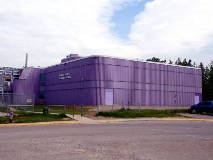 Purple Schools Without Windows – Snowbird of Paradise