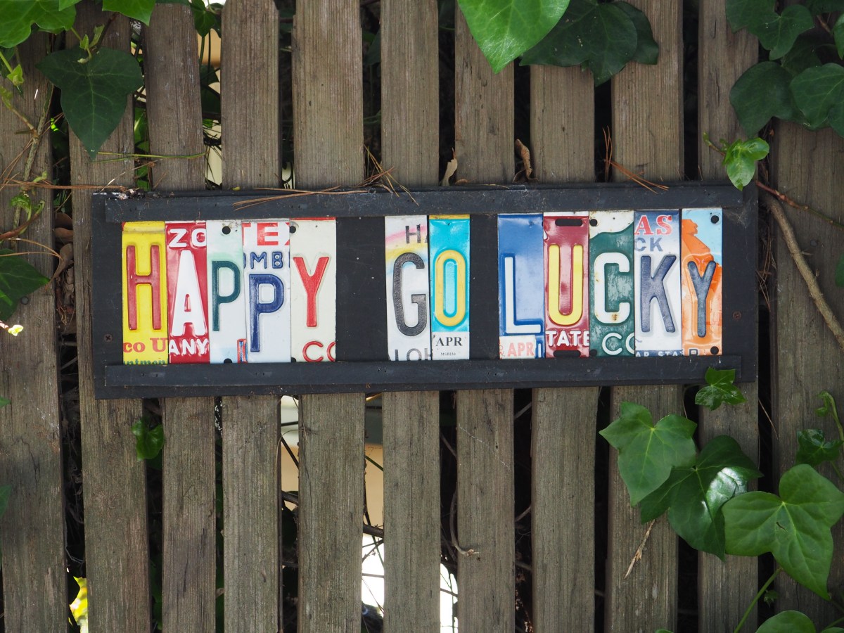 Messages From Strangers – Snowbird of Paradise