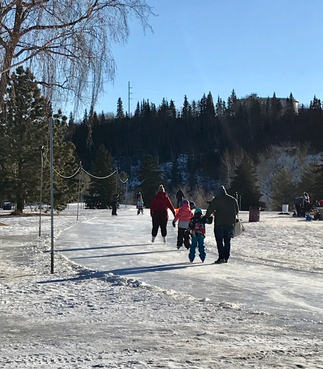 Rundle Park IceWay – Snowbird of Paradise