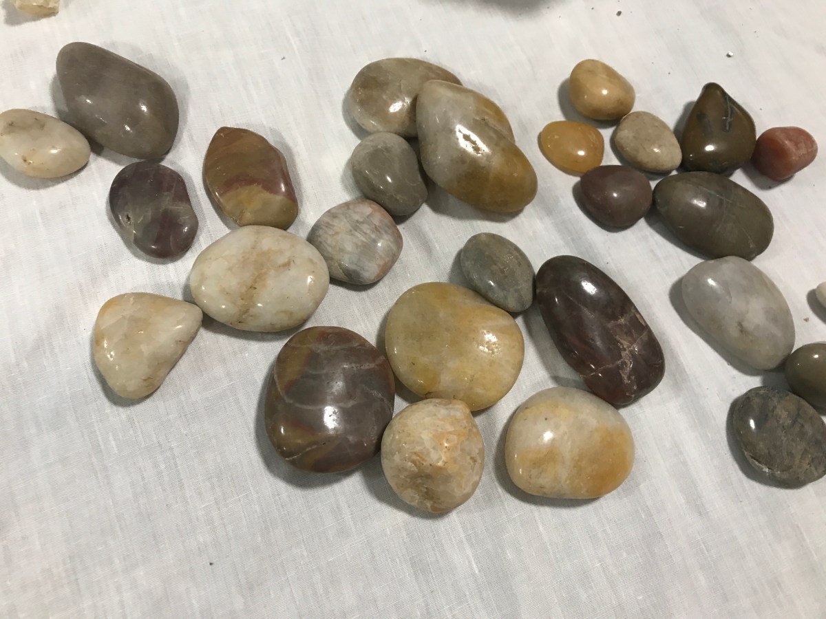 A Box of Rocks – Snowbird of Paradise