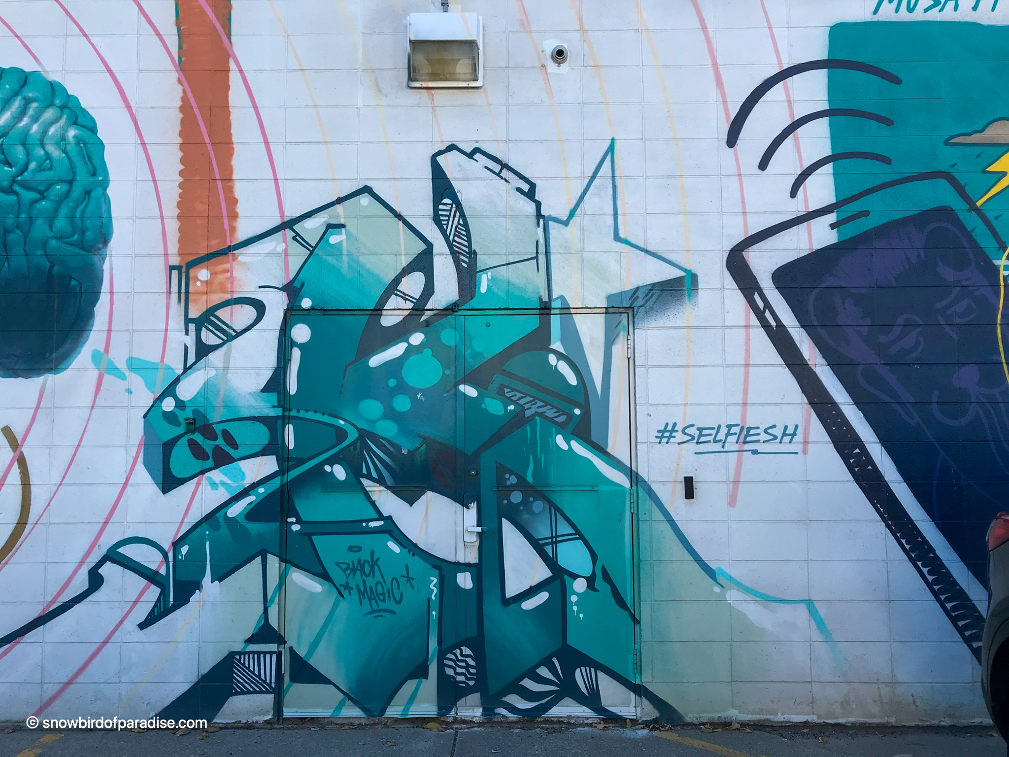 Rust Magic in Ritchie – Snowbird of Paradise