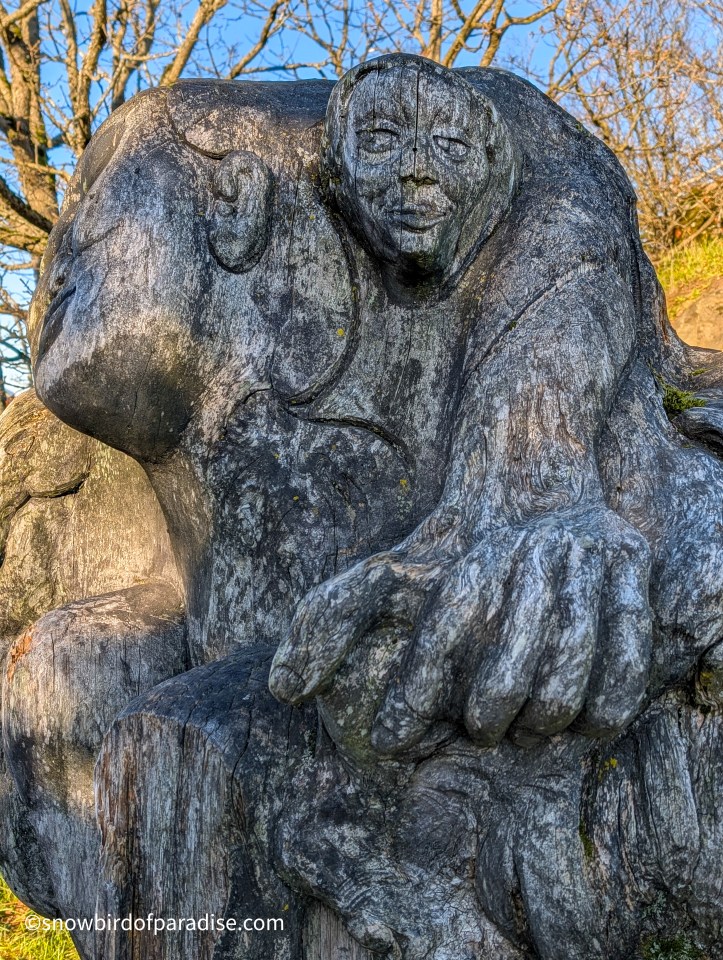 A Clear Day at Jack Point Park – Snowbird of Paradise