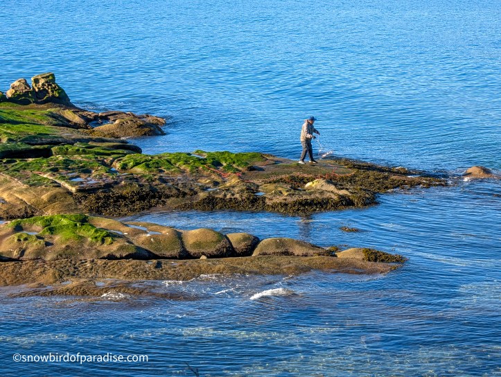 A Clear Day at Jack Point Park – Snowbird of Paradise