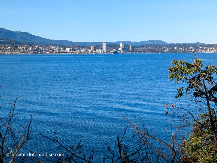A Clear Day at Jack Point Park – Snowbird of Paradise