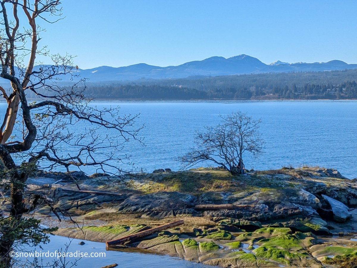 A Clear Day at Jack Point Park – Snowbird of Paradise