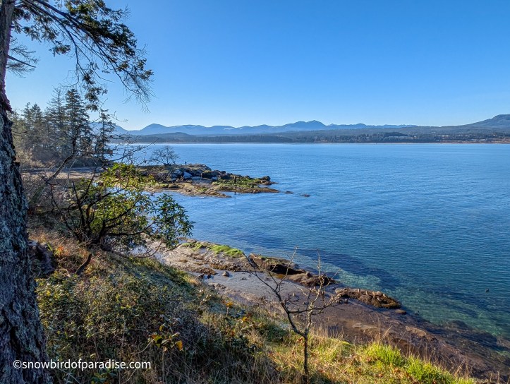 A Clear Day at Jack Point Park – Snowbird of Paradise
