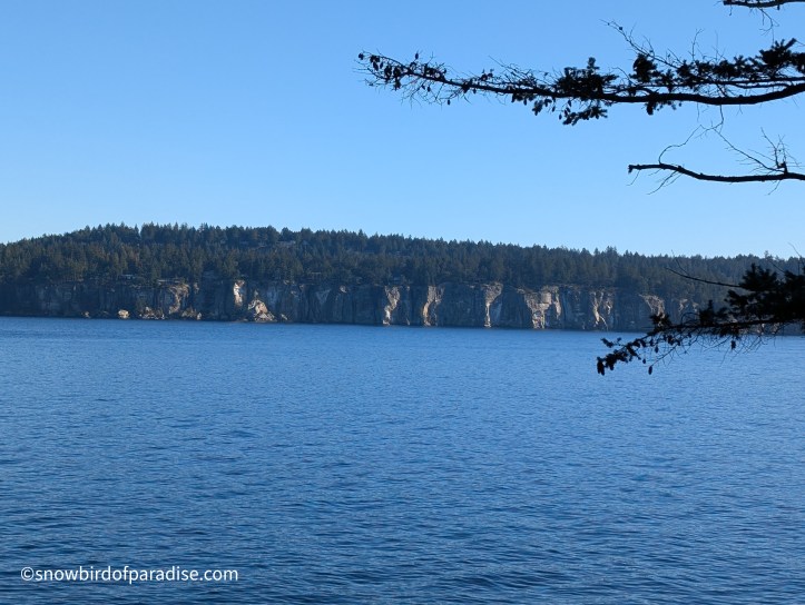 A Clear Day at Jack Point Park – Snowbird of Paradise