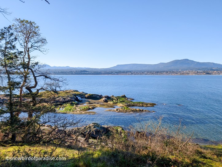 A Clear Day at Jack Point Park – Snowbird of Paradise