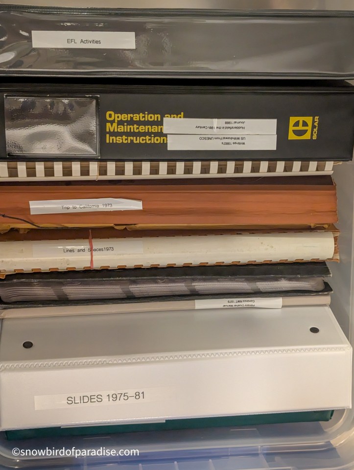 Half An Idea – Snowbird of Paradise